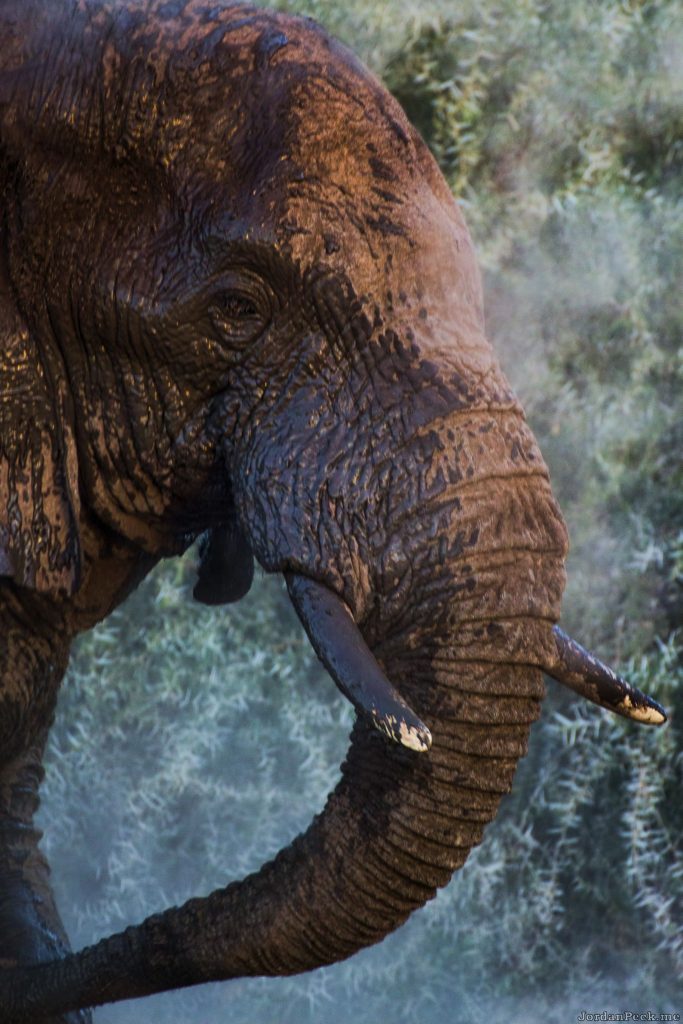 Portfolio – Jordan Peck